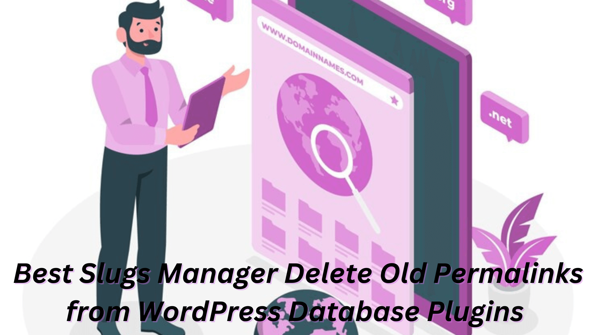 Best 5 Slugs Manager Delete WordPress Plugins - WPFactory Plugins