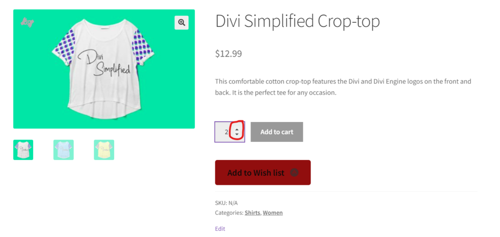 How To Customize Quantity Input Field In Woocommerce Wpfactory Plugins
